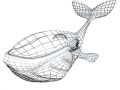 toon whale 3d 3D Models in Whale 3DExport