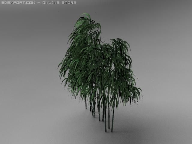 bamboo tree 3D Models in Tree 3DExport