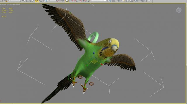 bird wing rig 3D Model in Bird 3DExport