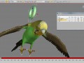 Bird Wing rig 3D Model in Bird 3DExport