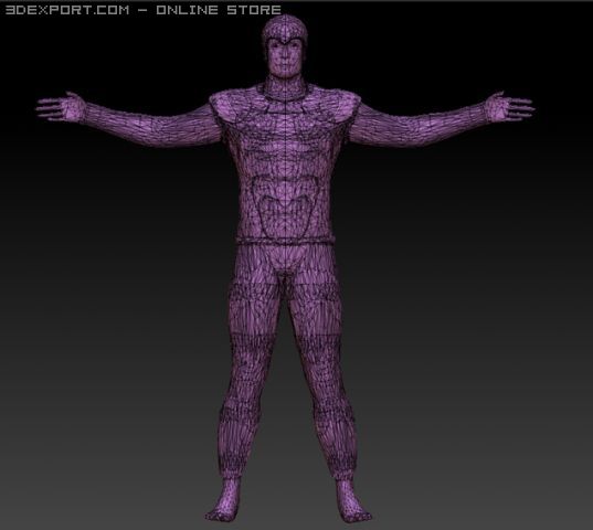 basic soldier Free 3D Model in Man 3DExport