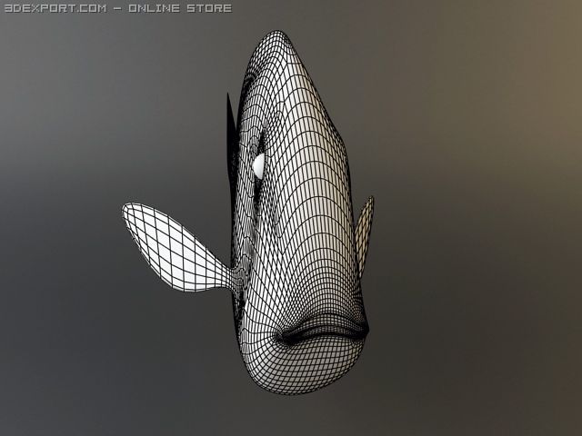 blue tang fish 3D Model in Fish 3DExport