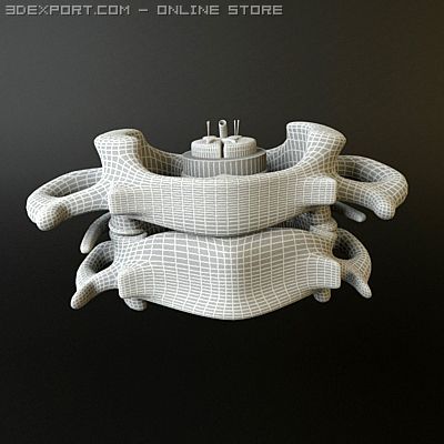 vertebrae c1 c2 cervical spine bones 3D Model in Anatomy 3DExport