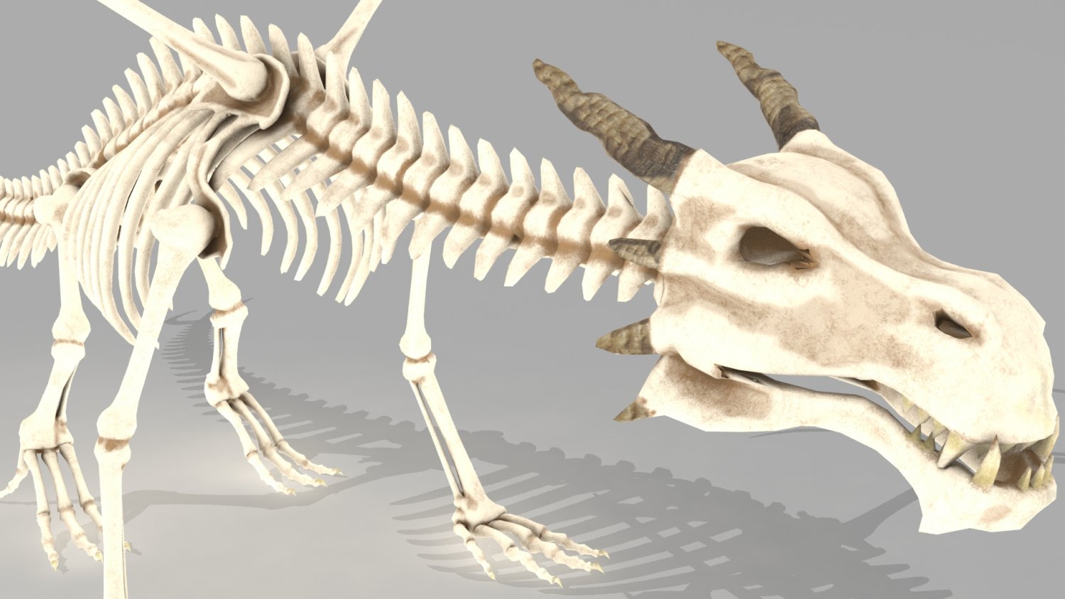 dragon skeleton 3D Models in Fantasy 3DExport