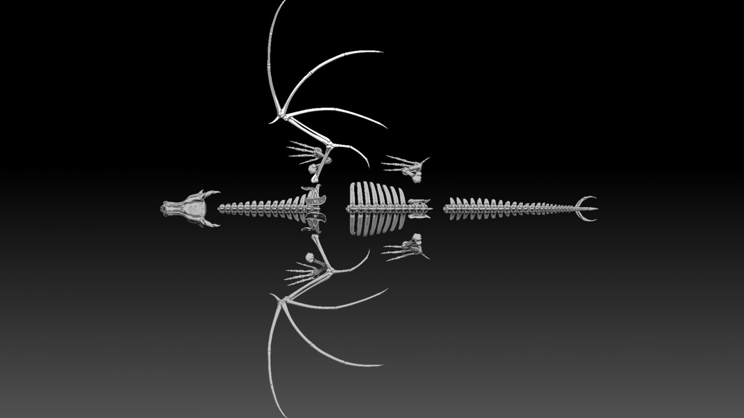 dragon skeleton 3D Models in Fantasy 3DExport