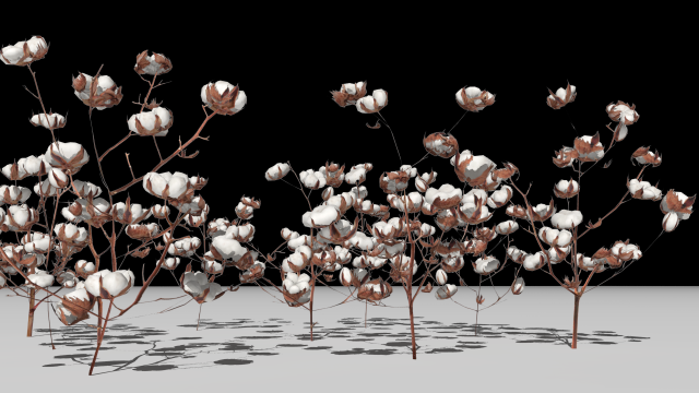 Cotton plantation 3D Model in Bush 3DExport