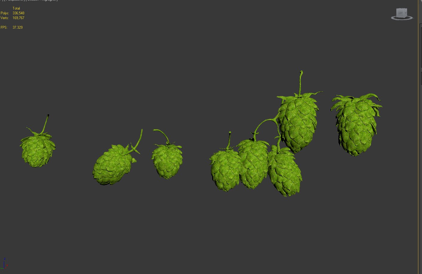 Hops 3D Model in Small Plants 3DExport