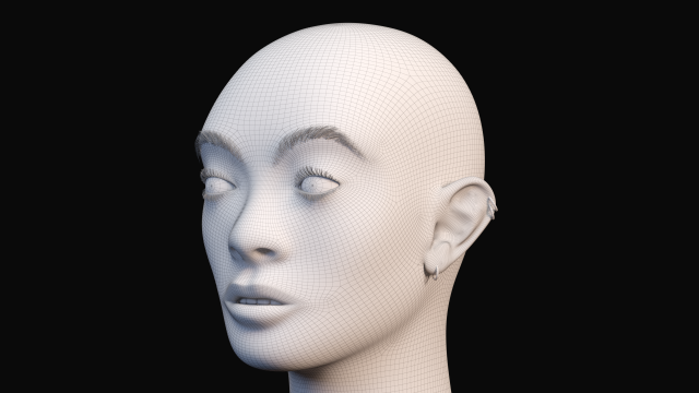 woman head 3D Model in Woman 3DExport
