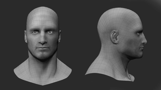 generic male face 3D Model in Anatomy 3DExport