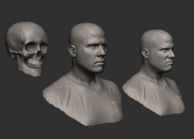 Male human head scan with neutral angry expression Includes 3D scan of ...