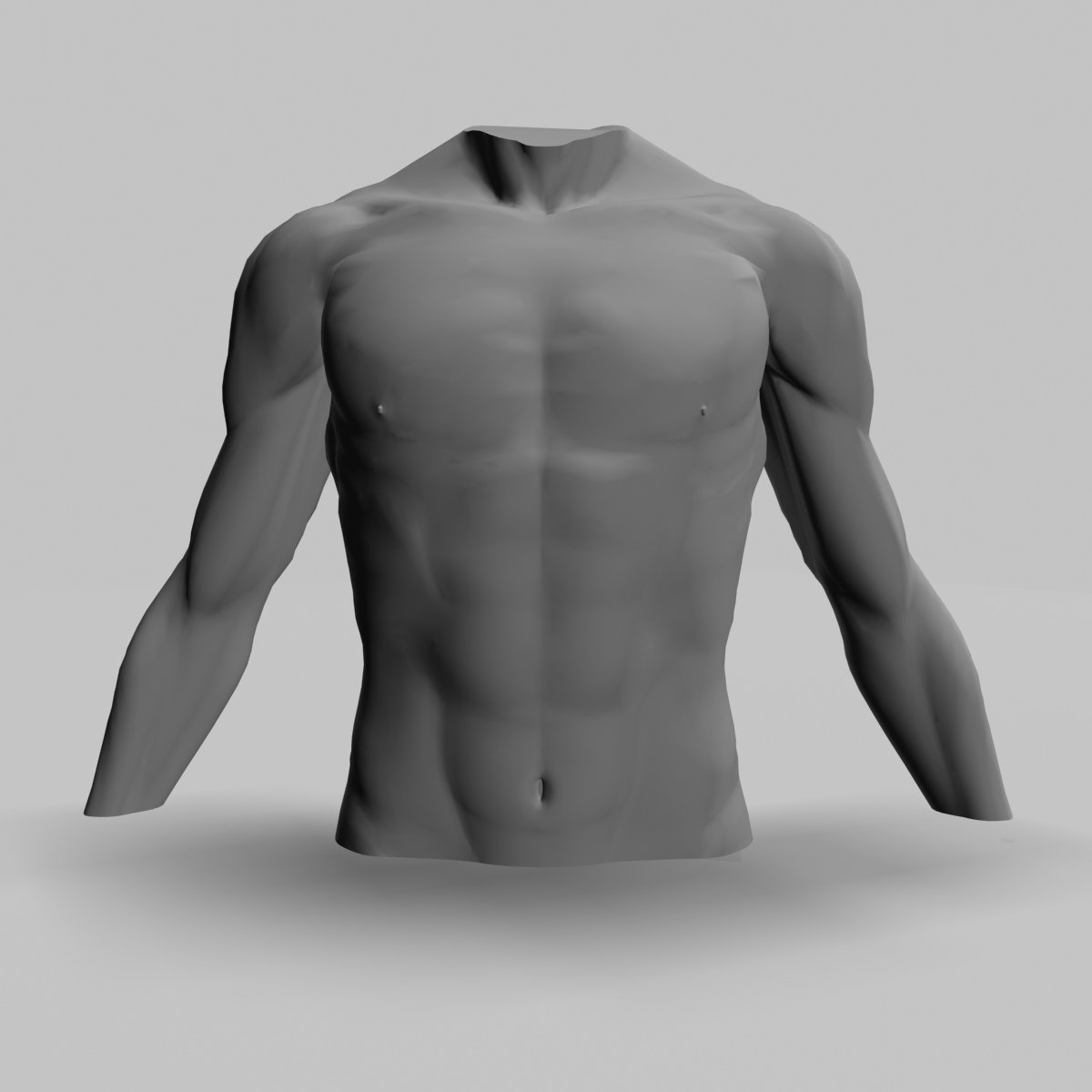 Male torso22011 3D Model in Anatomy 3DExport