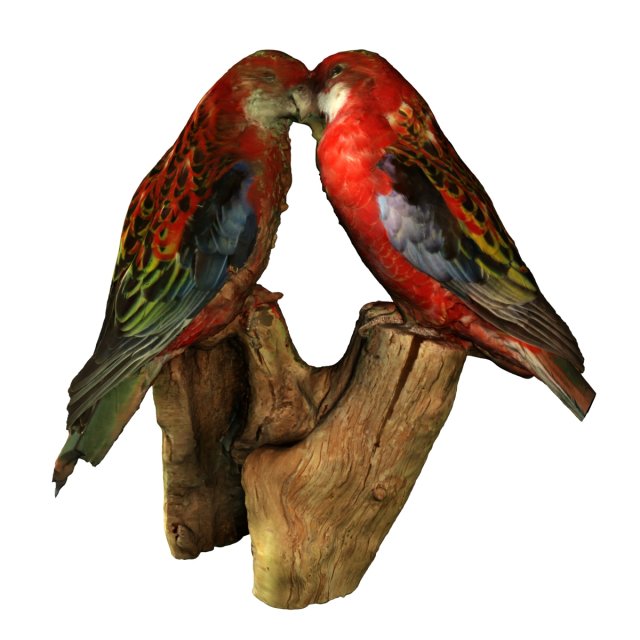 birds 3D Model in Bird 3DExport