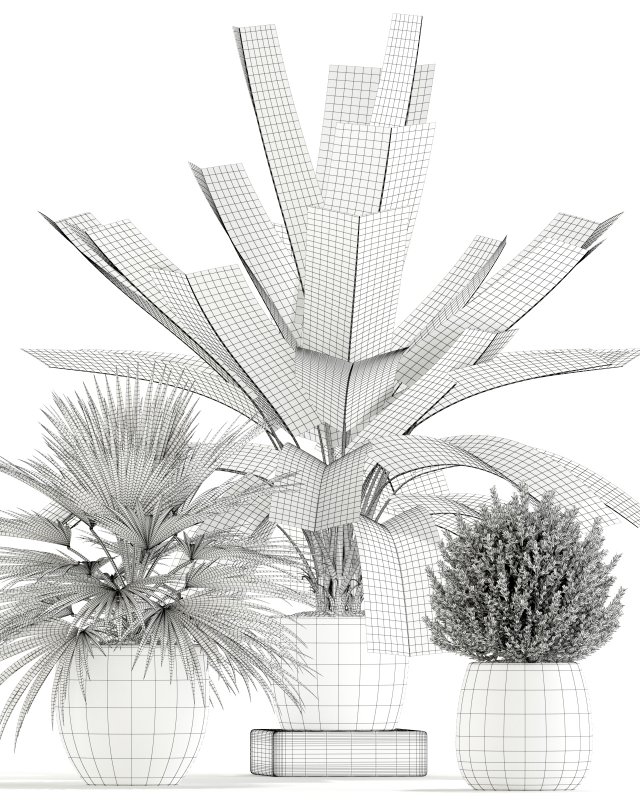 Plants collection 125 3D Model in Small Plants 3DExport