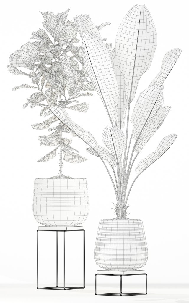 Plants collection 180 3D Model in Small Plants 3DExport