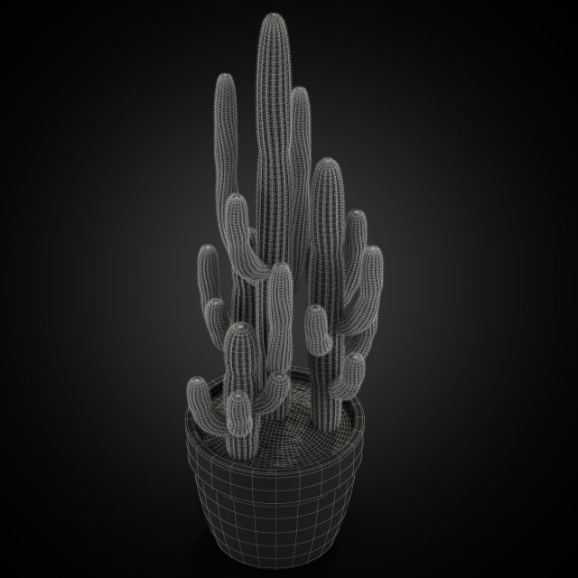 Plants collection 254 3D Model in Small Plants 3DExport