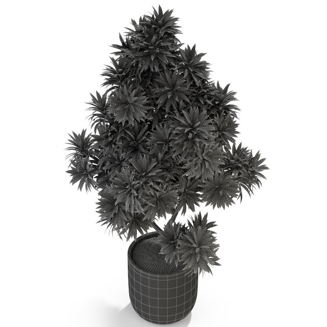 Plants collection 306 3D Model in Small Plants 3DExport