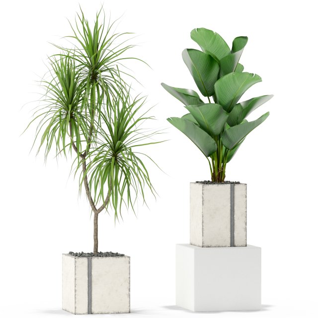 Plants collection 375 3D Model in Small Plants 3DExport