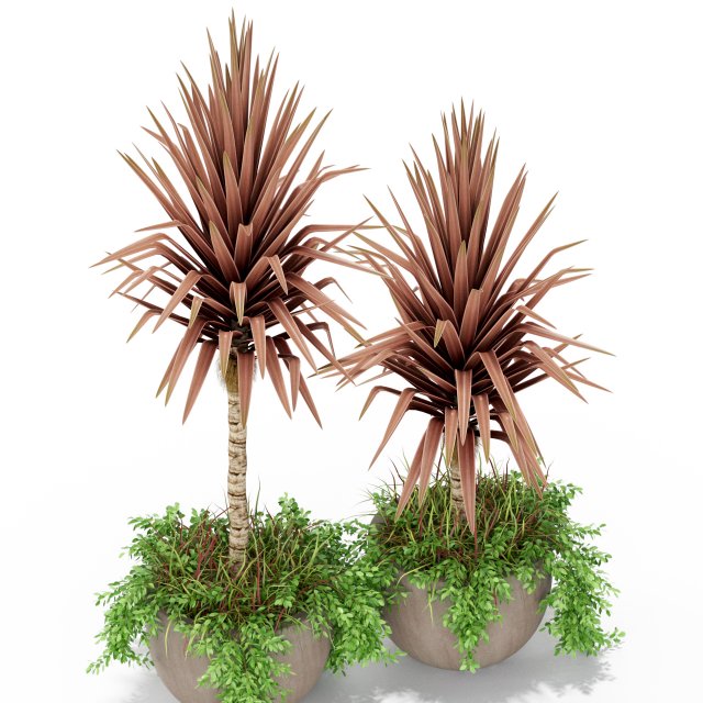 Plants collection 390 3D Model in Small Plants 3DExport
