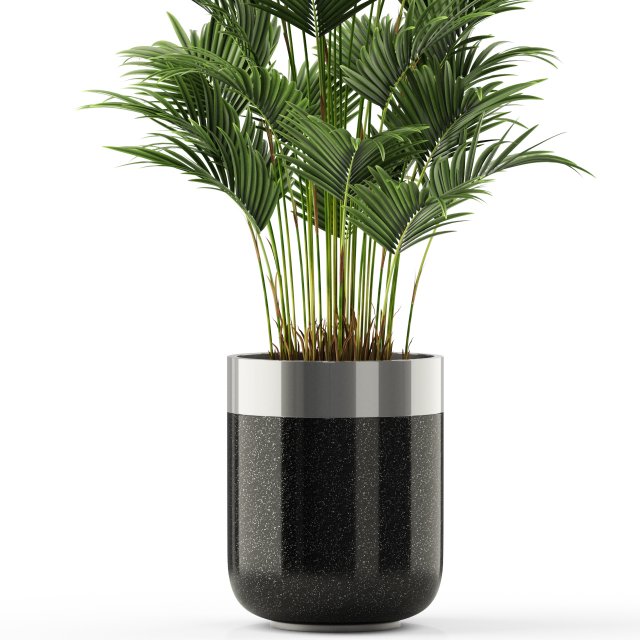 Plants collection 470 3D Model in Small Plants 3DExport