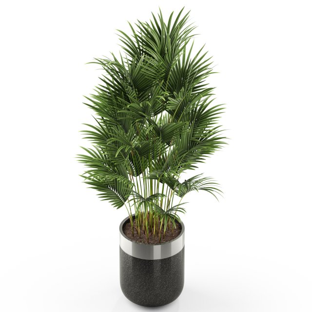 Plants collection 470 3D Model in Small Plants 3DExport