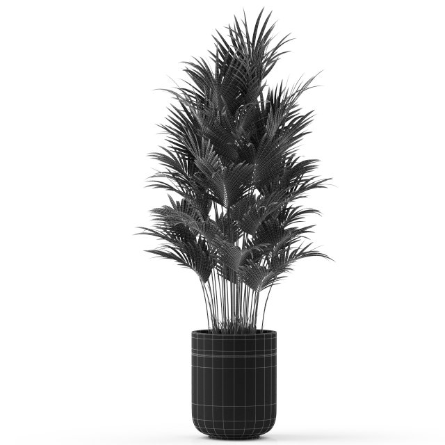 Plants collection 470 3D Model in Small Plants 3DExport