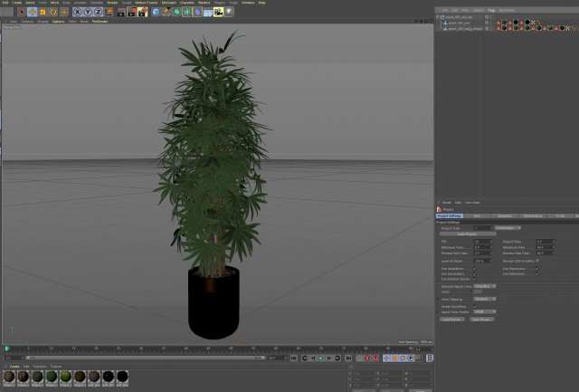 Plants collection 485 3D Model in Small Plants 3DExport