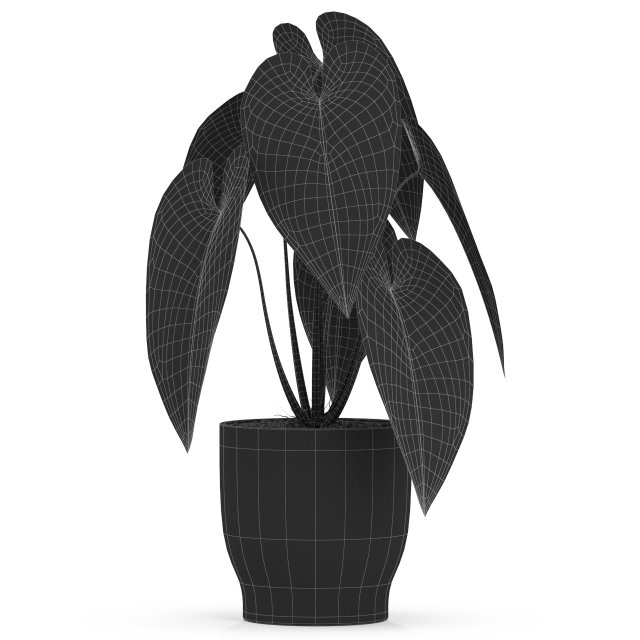 Plants collection 517 3D Model in Small Plants 3DExport