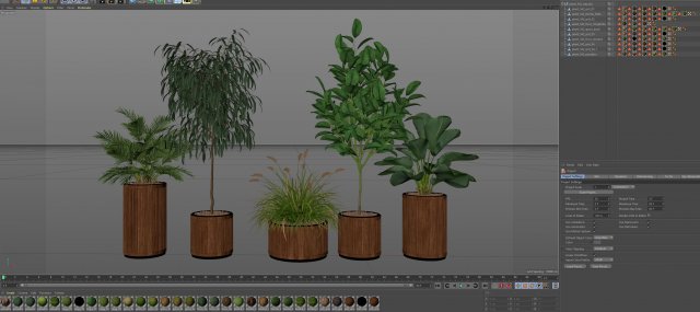 Plants collection 542 3D Model in Small Plants 3DExport