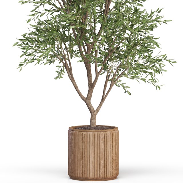 Plants collection 627 3D Model in Small Plants 3DExport