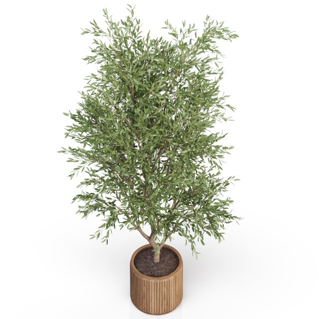 Plants collection 627 3D Model in Small Plants 3DExport