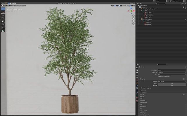 Plants collection 627 3D Model in Small Plants 3DExport