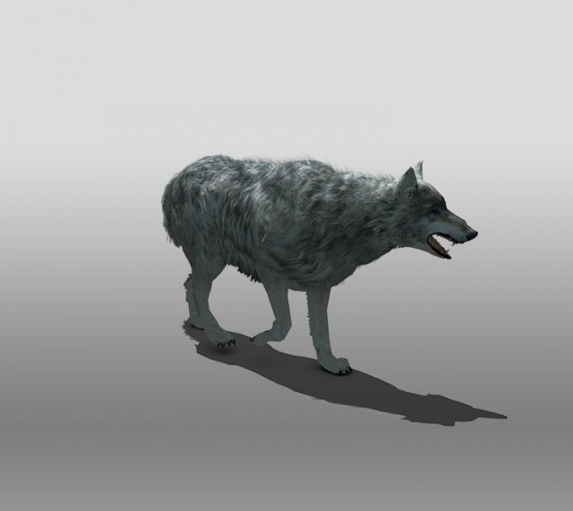 grey wolf 3D Model in Dog 3DExport
