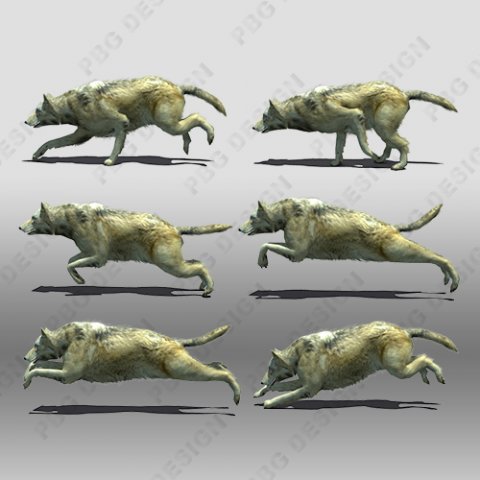 timber wolf animated 3D Model in Dog 3DExport