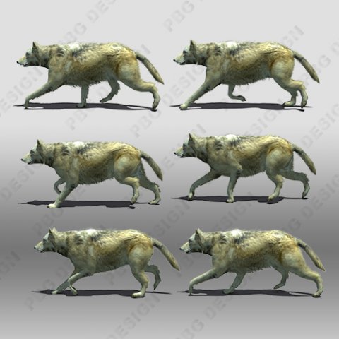 timber wolf animated 3D Model in Dog 3DExport