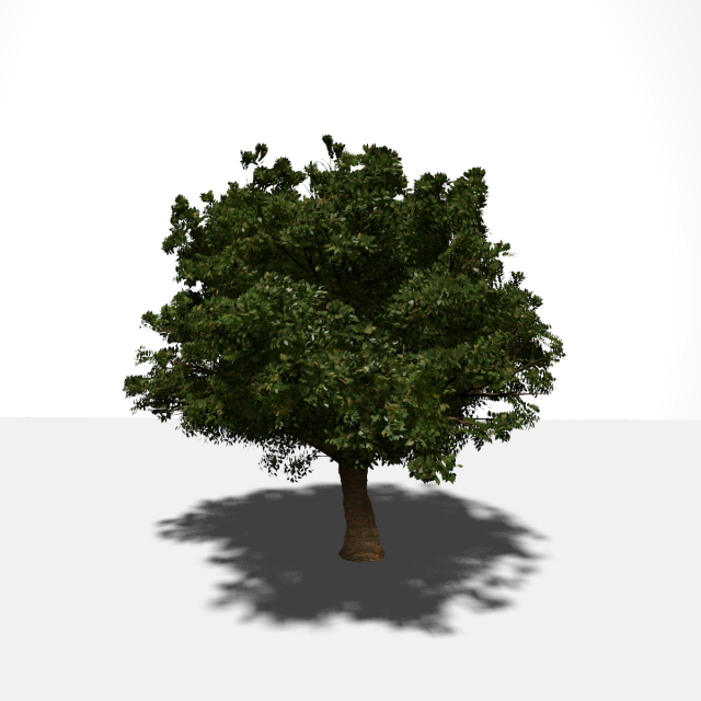high quality tree 3D Model in Tree 3DExport