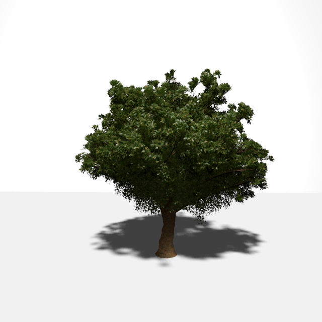 high quality tree 3D Model in Tree 3DExport