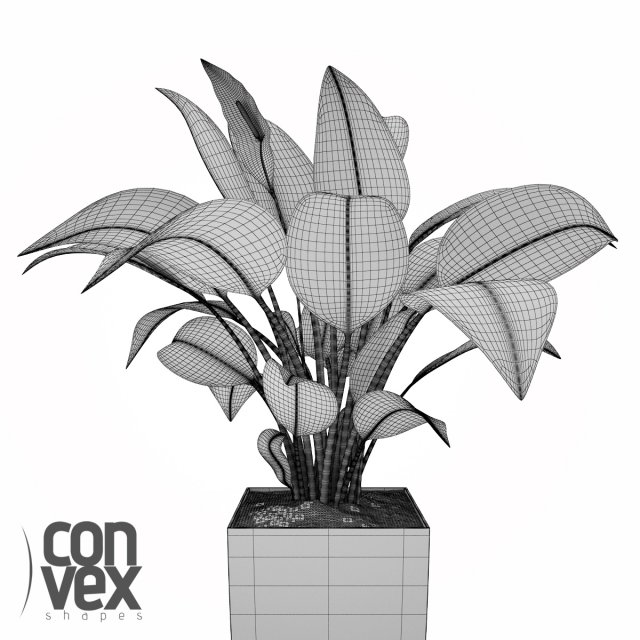 potted plant12 3D Model in Small Plants 3DExport