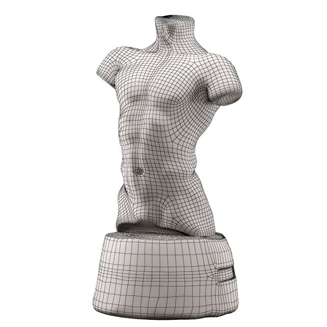 man torso 3D Model in Sculpture 3DExport