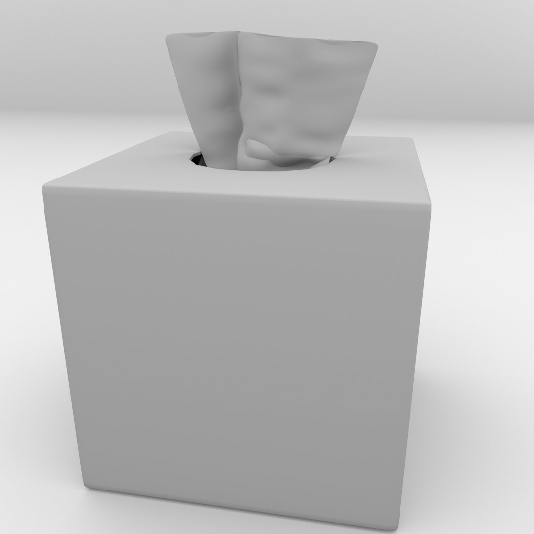 Tissue Box 2 3D Model in Household Items 3DExport