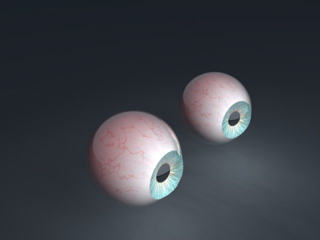 green eyes 3D Model in Anatomy 3DExport
