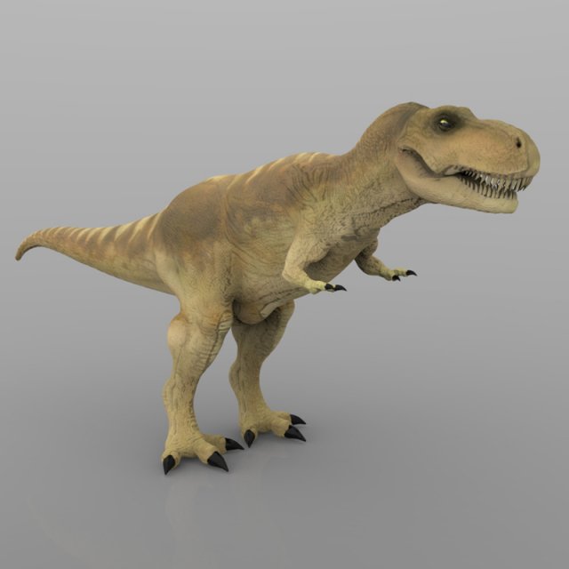 tyrannosaurus rex 3D Model in Dinosaur 3DExport