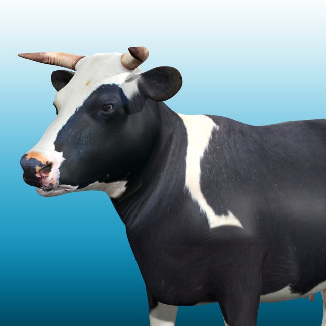 Cow Low poly Rig 3D Model in Cow 3DExport