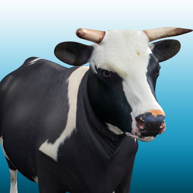 Cow Low poly Rig 3D Model in Cow 3DExport