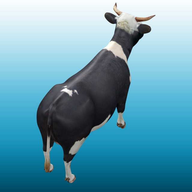Cow Low poly Rig 3D Model in Cow 3DExport
