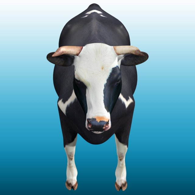 Cow Low poly Rig 3D Model in Cow 3DExport