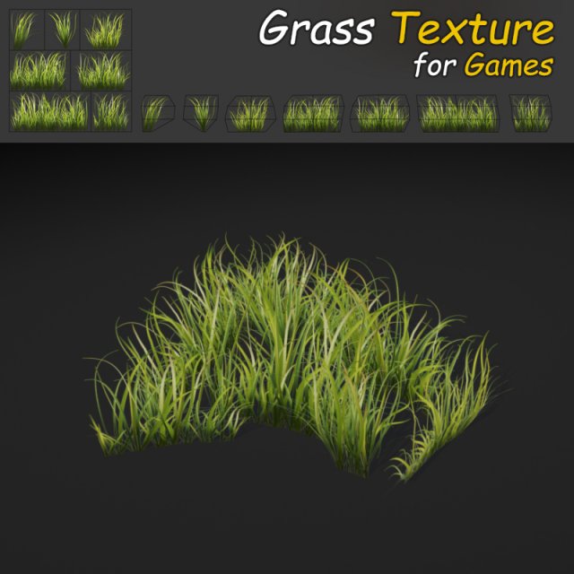 grass patch textures 3D Model in Small Plants 3DExport