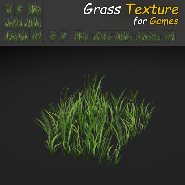 grass patch textures 3D Model in Small Plants 3DExport
