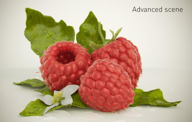 high quality raspberry model 3D Model in Fruit 3DExport