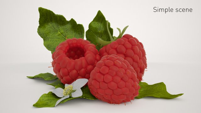 high quality raspberry model 3D Model in Fruit 3DExport