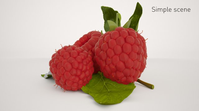 high quality raspberry model 3D Model in Fruit 3DExport